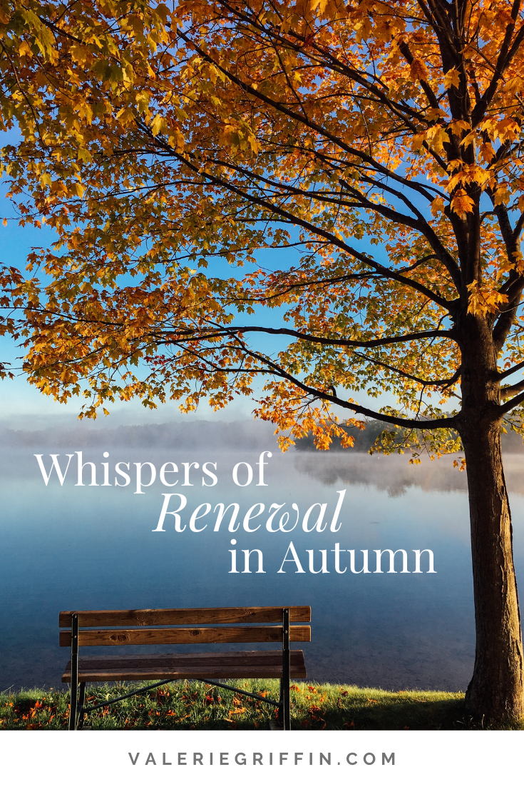 Whispers of Renewal in Autumn | Valerie Griffin